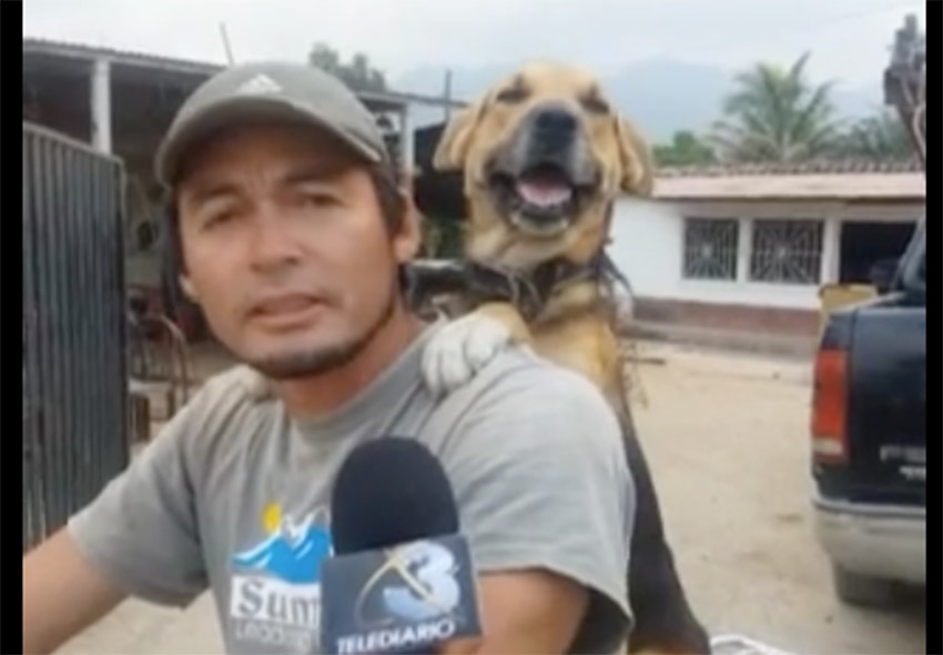 Patán: el perro que anda en moto - RadioHouse