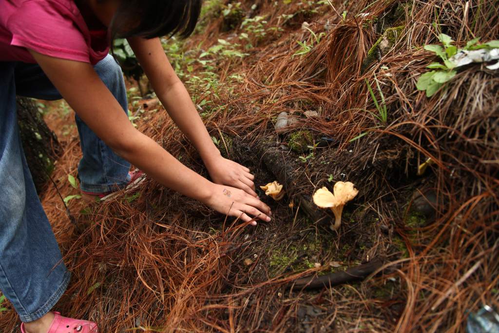 Inicia en Intibucá la rica temporada de los famosos "choros" - RadioHouse