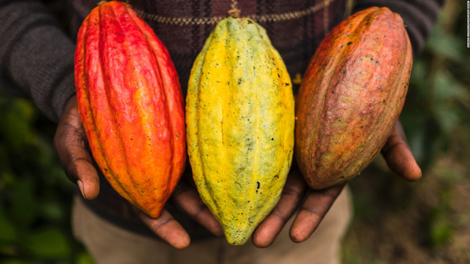 ¡Adéntrate en el fascinante mundo del chocolate en la VII edición del ...