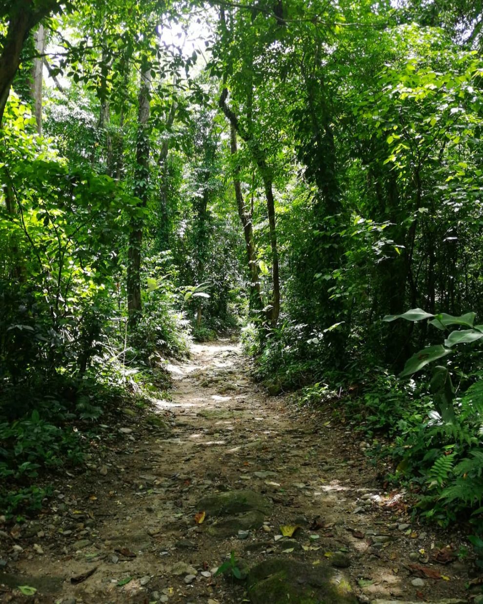 Rawacala, una aventura llena de color, adrenalina y experiencias ...