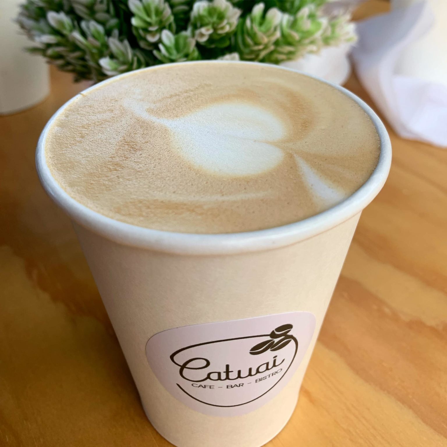 Catuai Café & Bistro, la moderna cafetería que cautiva a los turistas ...