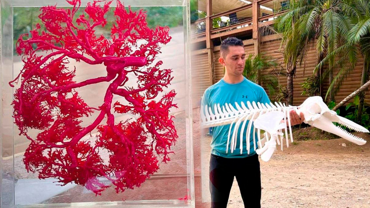 Hondureño crea arte y educa con placentas y huesos - RadioHouse